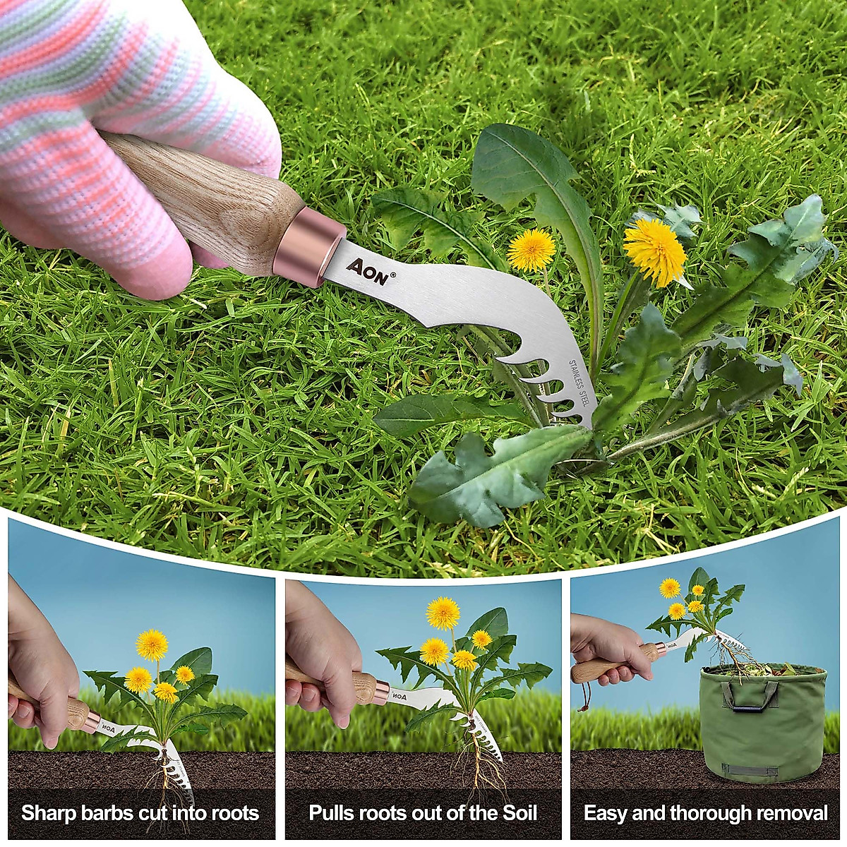 AON 2Pack Hand Crack Weeder Puller Tool Set - Made with Heat Treated Steel and Ash Wood Ergonomic Handles, Weeding Tools Ideal for Gardens and Patio Lawns to Effectively Pull Out Weeds & Their Roots.