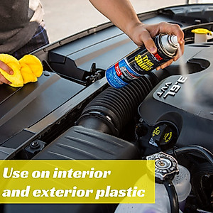 Stoner Car Care 91034 12-Ounce Trim Shine Protectant Aerosol Restores Dull or Faded Interior and Exterior Plastic Renew Bumpers, Running Boards, and More, Pack of 1