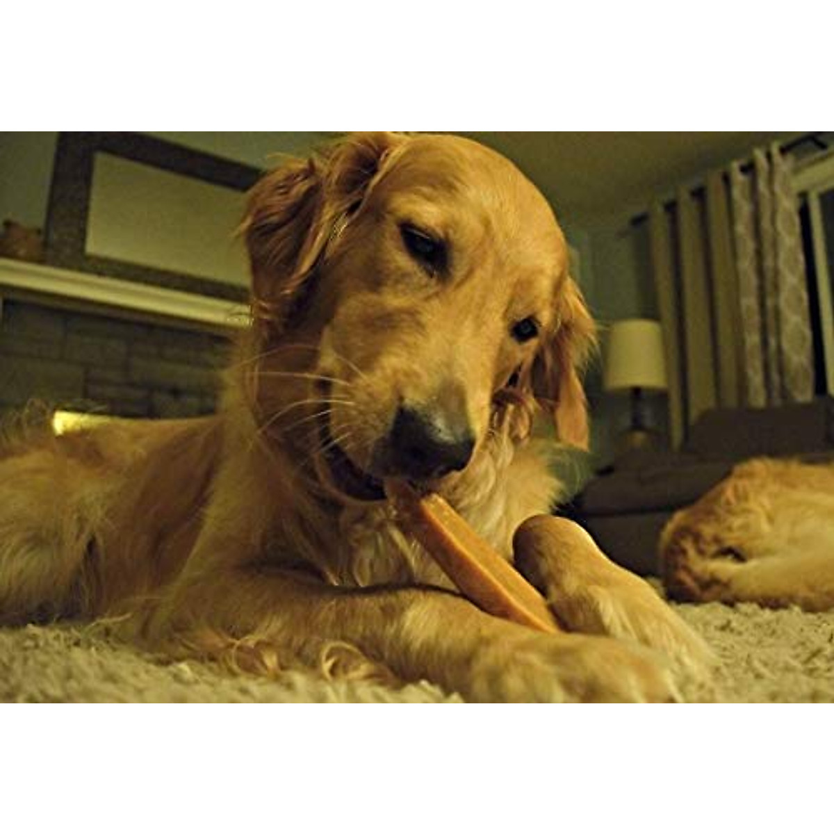 EcoKind Himalayan Yak Cheese Dog Chew, All Natural Premium Dog Treats, Healthy & Safe for Dogs, Long Lasting, Treats for Dogs, Easily Digestible, for All Breeds & Sizes (Large, 5-Pack)