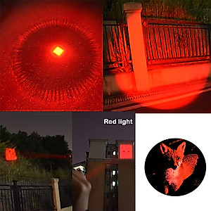 WAYLLSHINE (Pack of 5 Multicolored 3-Mode Flashlight: Red Light Flashlight, Green Light Flashlight, Blue Light Flashlight, 395 UV Light Flashlight, White LED Light Flashlight