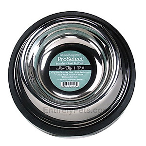 Pro Select Stainless Steel X-Super Heavyweight Non-Tip Pet Bowl, 5-1/2-Inch, 1-Pint