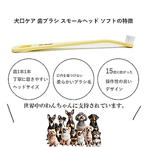 Mind up dog mouth care tooth brush Small head Soft (japan import)