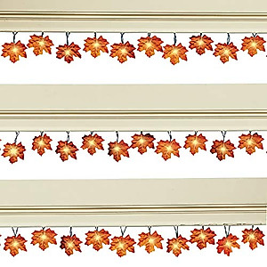 Collections Etc Solar Powered Outdoor Fall Leaves String Lights | Light Ropes, Strings | Fall, Autumn Harvest Outdoor Lights