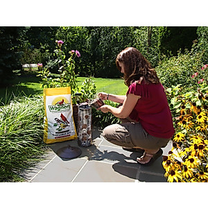 Wagner's Wild Bird Food Bundle (30 lbs) - Sunflower Seeds (25 lbs)