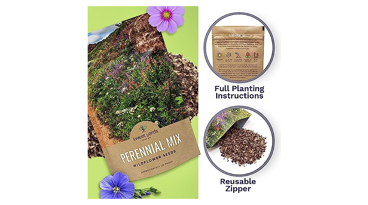 Perennial Wildflower Seeds Mixture - Bulk 1/4 Pound Bag - Over 60,000 ...