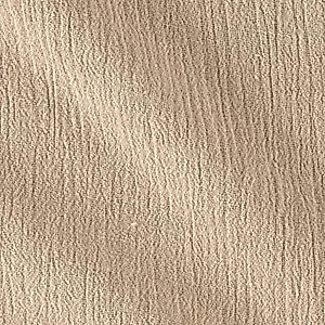AK TRADING CO. 50" Wide - 100% Cotton Island Breeze Gauze Fabric - Perfect for Apparel, Swaddles, Crafts, Home, Photoshoots, & DIY Projects. (Champagne, 5 Yards)