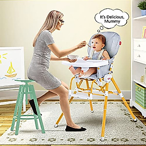 High Chairs for Babies and Toddlers, Baby High Chair, Ceurmt Baby Toddler High Chair, Convertible Highchairs with Removable Tray, Foldable | Portable, Height Adjustable, Space Saver, Easy Clean up