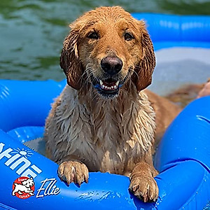 Fromm Four-Star Nutritionals Zealambder Dog Food - Premium Dry Dog Food - Lamb Recipe - 12 lb