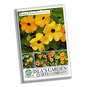 Black Eyed Susan "Vine" Flower Seeds for Planting, 25+ Heirloom Seeds Per Packet, (Isla's Garden Seeds), Non GMO Seeds, Botanical Name: Thunbergia alata, Great Home Flower Garden Gift