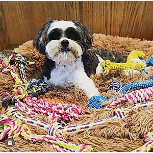 Pacific Pups Products for Dogs - Dog Toys for Aggressive Chewers, 11 Heavy Duty Dog Chew Toys for Aggressive Chewers, Cotton Puppy Chew Toys for Teething, Dogs Toys, Benefits Non-Profit Dog Rescue