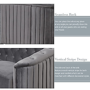 P PURLOVE Modern Single Sofa with Arms and Rubber Wood Legs, Velvet Upholstered Accent Sofa with Thick Removable Seat Cushion, Single Couch for Living Room, Bedroom or Small Space, Gray