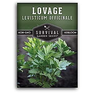 Survival Garden Seeds - Lovage Seed for Planting - Packet with Instructions to Plant and Grow Perennial Levisticum Officinale Culinary Herb in Your Home Vegetable Garden - Non-GMO Heirloom Variety