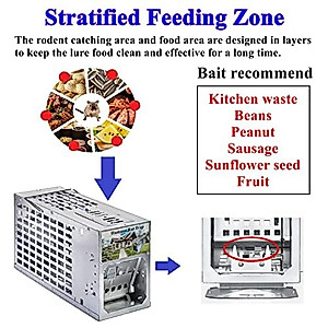 Joozer Humane Rat Trap That Work Live Mouse Trap Indoor Catch and Release Animal Cage Multi Large Bait Outdoor Reusable Chipmunk Mice Voles Rodent(1 Door)