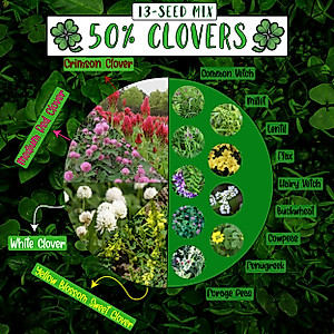 No-Till Cover Crop 13-Seed Mix (1 lb. Bag): [50% Clovers Plus Fenugreek, Vetch, Flax, Cowpeas, Buckwheat, Forage Peas, Millet, Lentils, Crimson Clover, Sweet Yellow, White Clover, Medium Red Clover]