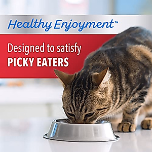 Iams Healthy Enjoyment Dry Cat Food Chicken & Beef Recipe, 3 lb. Bag