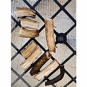 Burdock Root Seeds - Pack of 50, Certified Organic, Non-GMO, Open Pollinated, Untreated Vegetable Seeds for Planting – from USA