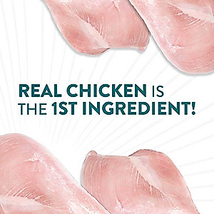 DOGSWELL Dog Dental Care Treats Made in USA Only, Grain Free Chicken Jerky Dog Treats, 24oz Bag