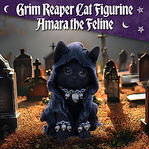 Nemesis Now Grim Reaper Cat Figurine, Hand-Painted Black Kitten with Olive Eyes and Skull Charms, Gothic Collectible Decor, 16cm