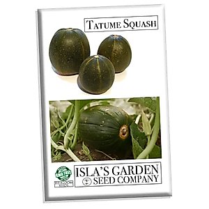 Tatume Squash Seeds for Planting, 30+ Heirloom Seeds Per Packet, (Isla's Garden Seeds), Non GMO Seeds, Botanical Name: Cucurbita Pepo