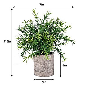 CEWOR 2 Pack Artificial Plants Mini Potted Plants Fake Bamboo Leaves Faux Rosemary Small House Plants for Home Office Desk Room Decor