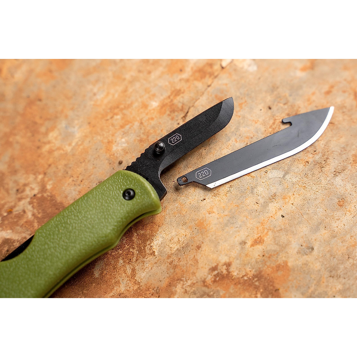 OUTDOOR EDGE Razor Mini Folding Pocket Knife | Compact 2.2" EDC Knife with RazorSafe Replaceable Blades | Perfect Small Everyday Carry Knife for Men Women | Includes 2 Replaceable Drop Point Blades