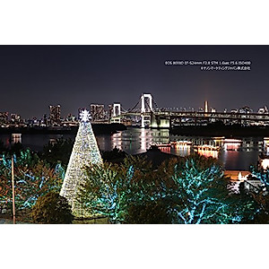 Canon DSLR camera EOS 8000D body 24.2 million pixels EOS8000D [International Version, No Warranty]