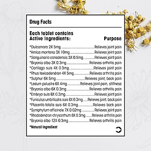 T-Relief Arthritis Arnica +12 Pain Relieving Natural Medicines Help Reduce Soreness Stiffness Aches & Pains in Joints Naturally - 100 Tablets (2 Pack)