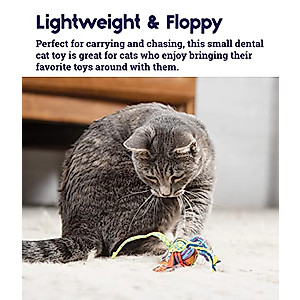 Petstagesreg; Tons of Tails