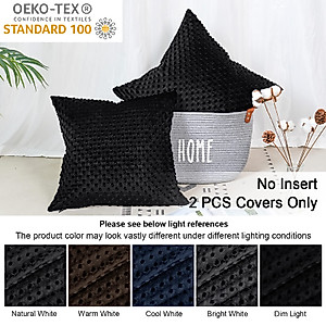 PHF Minky Dot Throw Pillow Cover 20"x 20", 2 Pack Soft Cozy Minky Bubble Real Velvet Cushion Cover, Christmas Home Decorative Pillow Pillowcase for Couch Sofa Bed, Black