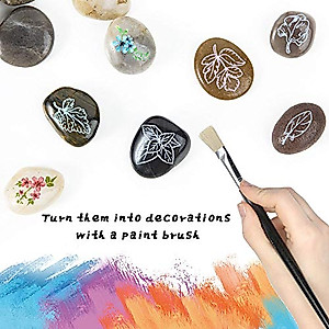 OUPENG Pebbles Polished Gravel, Natural Polished Mixed Color Stones, Small Decorative River Rock Stones 2 Pounds (32-Oz)