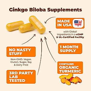 Turmeric Curcumin with Black Pepper and Ginkgo Biloba supplements. Natural Turmeric Supplement with Organic Tumeric to aid Joint Health, Brain Clarity, Focus, Memory, and Concentration. Vegan. 60 Caps