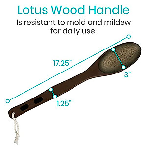 Vive Back Scrubber Brush for Shower - for Dry or Wet Body Brushing - Long Handle - Cleaning Lymphatic Drainage Handled Washer for Men, Women - Showering Bathing Exfoliator with Soft & Stiff Bristles…