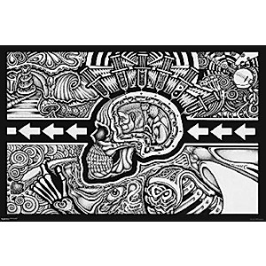Conscious Existence By Christopher Sheehan Poster Art Artistic Artist Aesthetic Classic Vintage Retro Home Living Room Bedroom Office School Design Decoration Cool Wall Decor Art Print Poster 24x36