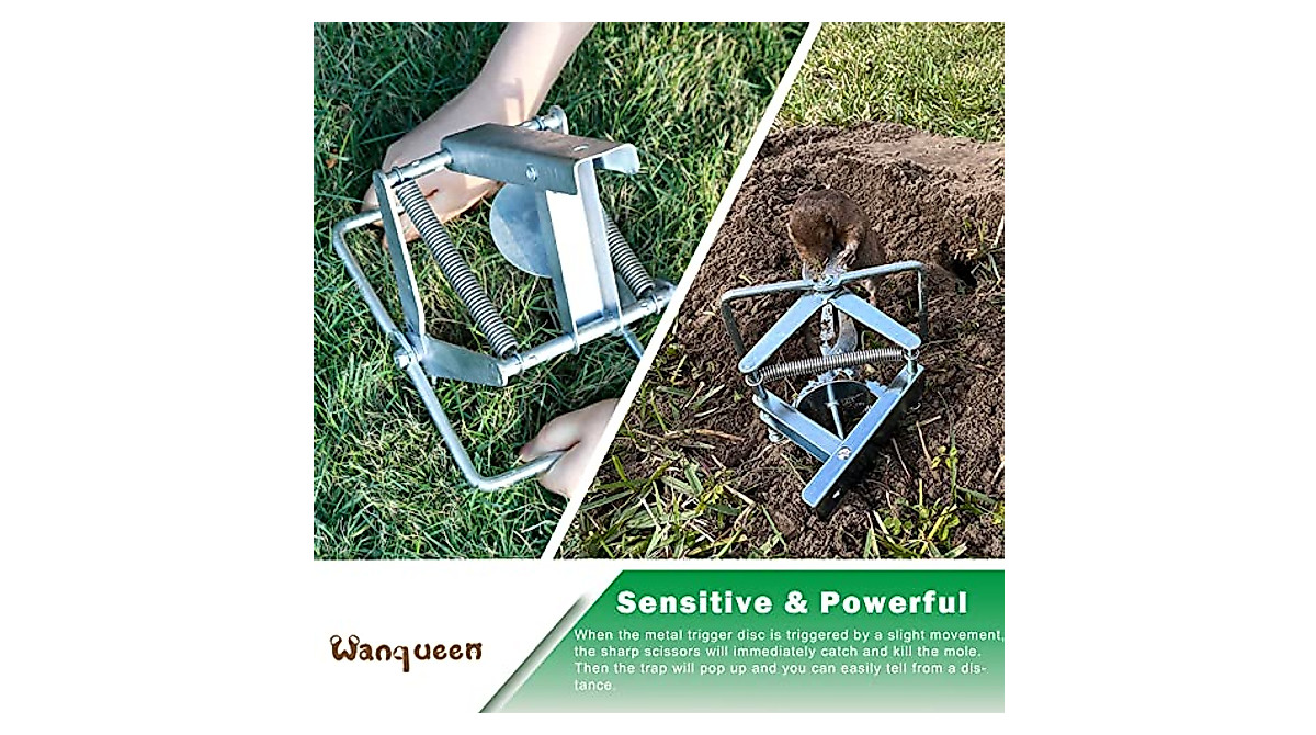 Effective 2 Pack Mole Traps - Reusable Steel & Easy to Set