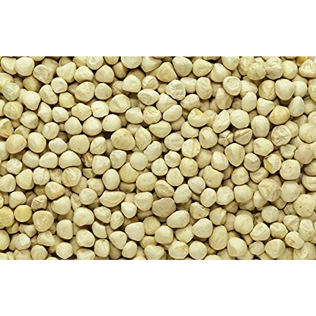 Moringa Seeds Kernel Shelled 16 oz. / 1 lb. - Clean PKM1 Variety - Edible - Moringa Oleifera - Malunggay - Semillas De Moringa - Drumstick Tree - Non-GMO - 2000 to 2400 Seeds Approx.