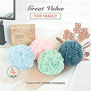 Spongentle Deep Cleansing Loofah Sponge, Pack of 4, Bath and Shower, Exfoliating Body Scrubber, Gorgeous Colors for Women and Men