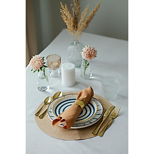 10-Piece Set All in 1 Dinnerware Set for 1 Person Dish Set Blue & White Cute Single Person Farmhouse Dinnerware 2 White Plates/Gold Cutlery/Cotton Place Mat/Napkin/Napkin Holder/Water Glass