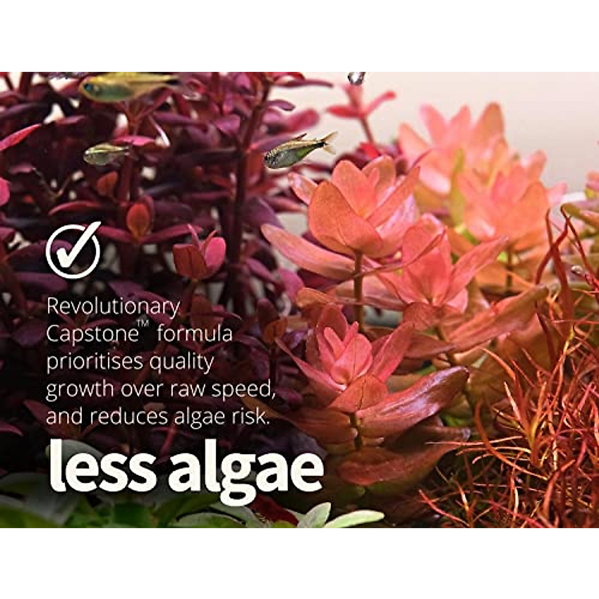 2HR Aquarist All-in-one Aquarium Plant Fertilizer APT E Estimative Index (300ml)