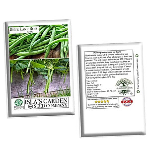 Blue Lake Bush Green Bean Seeds, 50+ Heirloom Seeds Per Packet, Non GMO Seeds, (Isla's Garden Seeds), Botanical Name: Phaseolus vulgaris