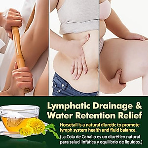 Herbmood Water Away Tea Bags for Edema Relief, Te de Diente de Leon y Cola de Caballo, Diuretico Natural para Desinflamar Retencion de Liquidos y Inflamacion, Horsetail for Lymphatic Drainage. 30 bags