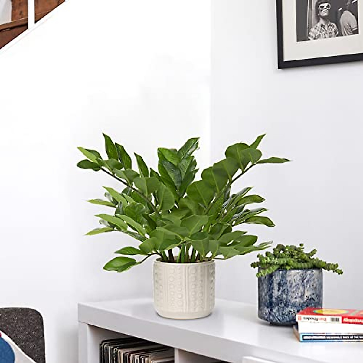 Briful Faux Plants Indoor 17" Artificial ZZ Plants in Ceramic Pot Fake Potted Zamioculcas Silk Plants for Home Living Room Office Decor Bedroom Aesthetic