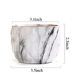 SE SUN-E Sun-E Modern Style Marbling Ceramic Flower Pot Succulent/Cactus Planter Pots Container Bonsai Planters with Hole 3.35 Inch Gift Idea(4 in Set) Plants Not Included