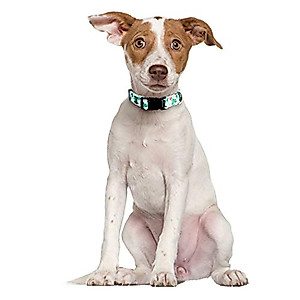 2 Pack St.Patrick's Day Dog Collar Adjustable Four Leaf Clover Large