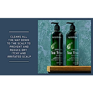 New York Biology Tea Tree Shampoo and Conditioner Set – Deep Cleanser – Relief for Dandruff and Dry Itchy Scalp – Therapeutic Grade - Helps Promote Hair Growth – 16.9 fl Oz