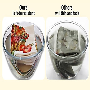 Dolcal Reversible Placemats Set of 4 Washable, Kitchen Table Mats Cloth Heat Resistant Place Mats Cotton Table Placemats Farmhouse,Fruit Red Apple