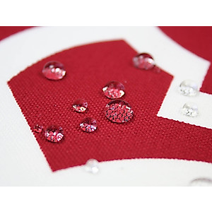 FBTS Prime Pack of 2 Outdoor Waterproof Decorative Throw Pillow Covers for Patio Furniture, 18x18 Inch Fade Resistant Patio Garden Cushions for Couch Bed Sofa, Geometric Red