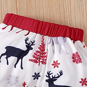 Baby Boys Girls Cute 2Pcs Outfits Clothes Set for Toddler Kids Christmas Print Hooded Pullover Tops Pants Trousers Set (Blue, 6-12 Months)