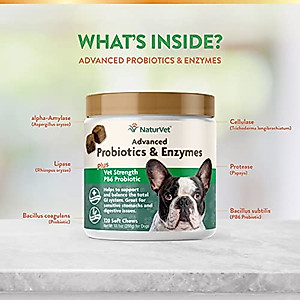 Veterinarian Strength Advanced Probiotics, Healthy Enzymes and PB6 Probiotic Supplement For Your Dogs Stomach, Intestine, Digestion and GI Tract health, Made by NaturVet, 120 Soft Chews