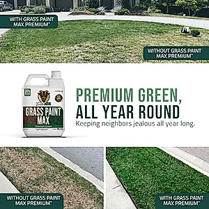 PetraTools Grass Paint Max Strength, Green Grass Lawn Spray for Dead & Dormant Lawn Paint, Green Lawn Spray, Grass Paint for Lawn, Lawn Spray Paint, Long-Lasting Concentrate Green Dye for Lawn (32oz)