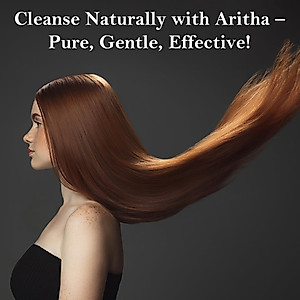 mi nature Aritha (Sapindus Laurifolia) Powder/Soap Nut Powder - USDA NOP Certified Organic Hair Conditioner for Silky Hair from India (227g / 1/2 lb)